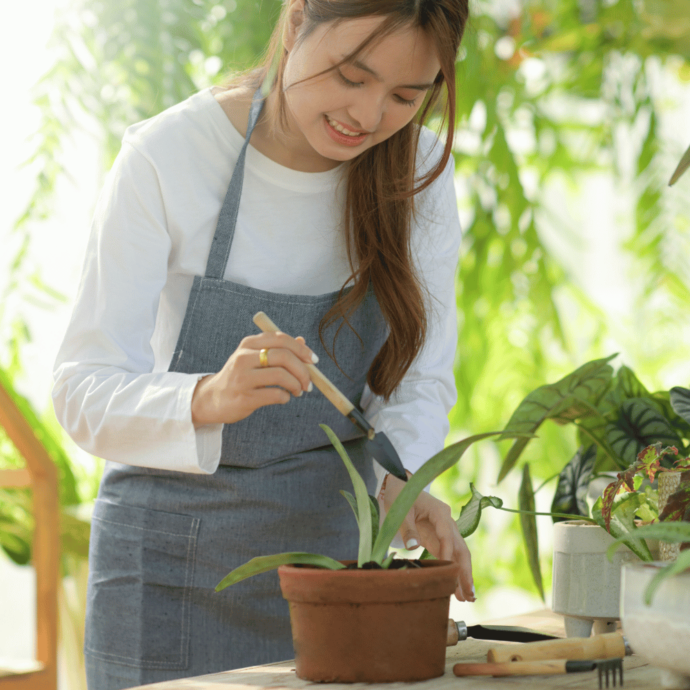 Top Tips for Maintaining Healthy and Vibrant Plants – Bu Seng Chong Holdings